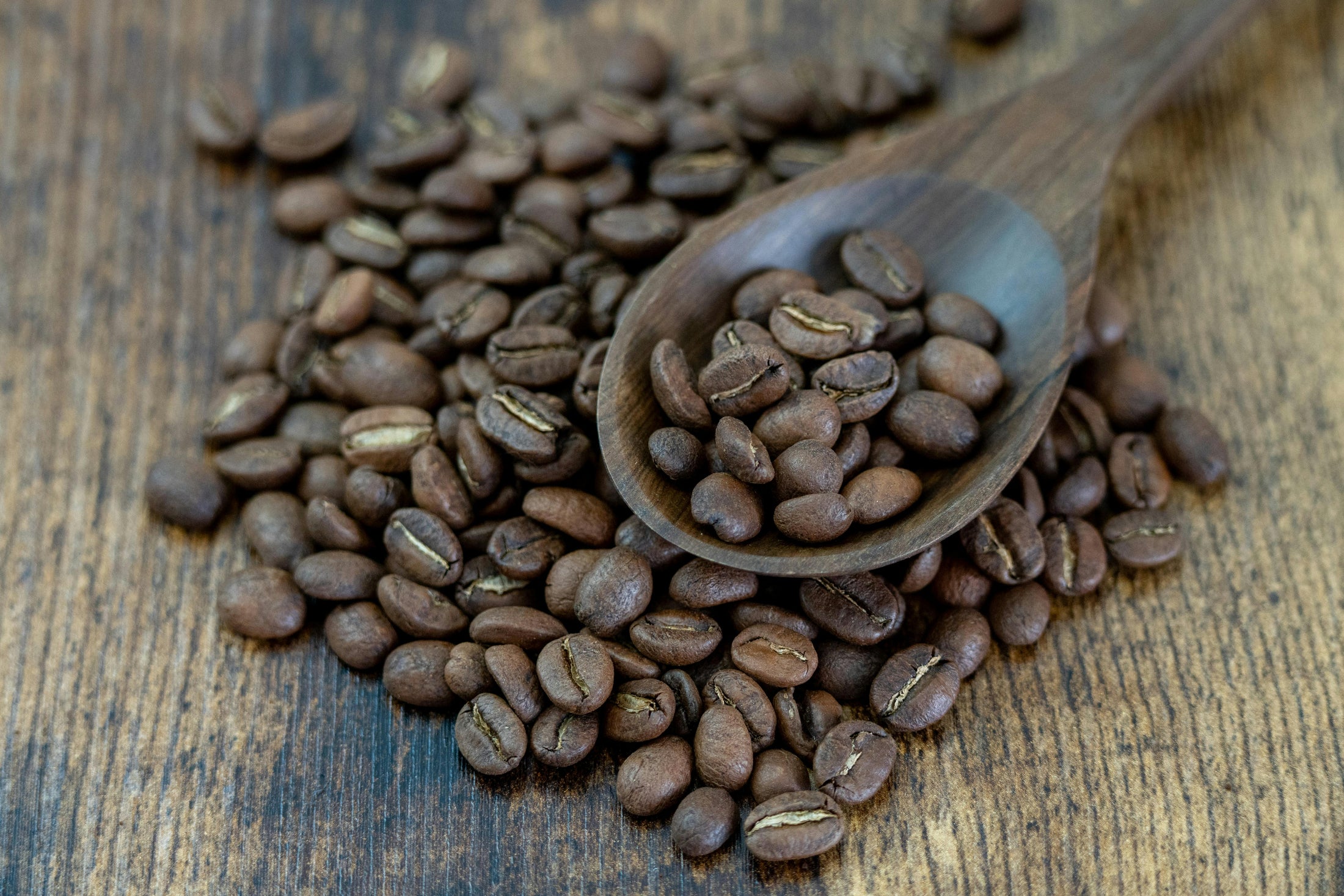 10 Indie Coffee Brands Worth Waking Up For – Wand & Owl Coffee Co.